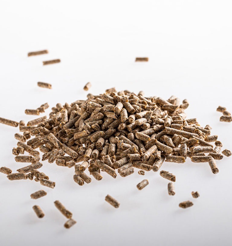 Schweinefutter – Rothkötter Mischfutterwerk